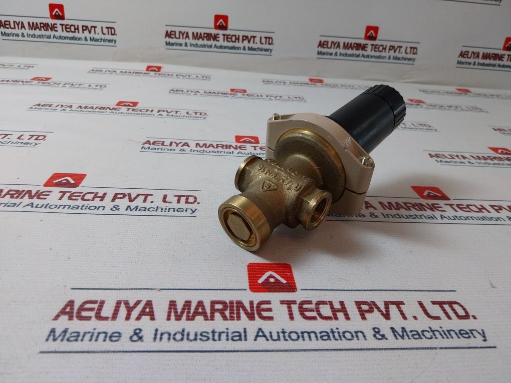 Samson 2441-1101 Regulation Valve – Aeliya Marine Tech