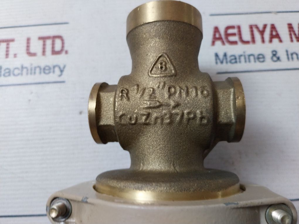 Samson 2441-1101 Regulation Valve – Aeliya Marine Tech