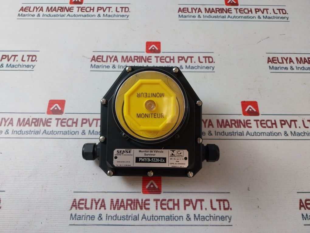 Sense Pmyb-5220-ex Survivor Valve Monitor – Aeliya Marine Tech