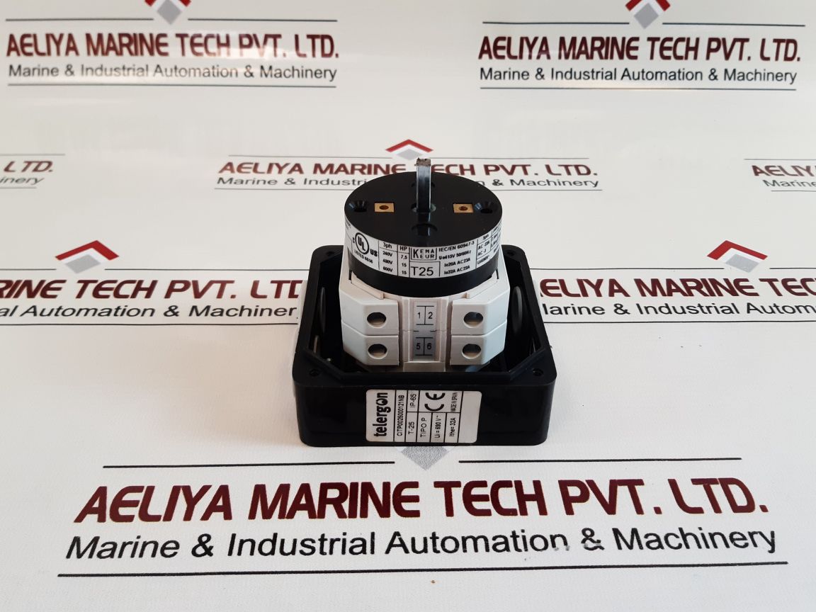 Telergon T-0002500012 Cam Switch T-25 – Aeliya Marine Tech®