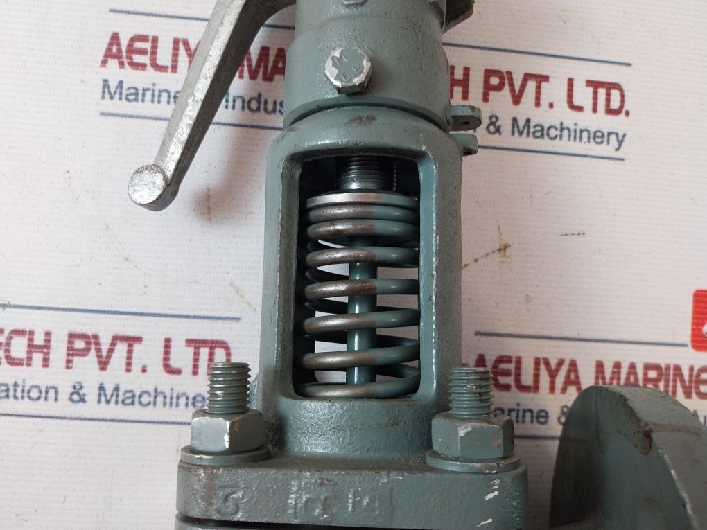 Vyc Dn-25X40 Safety Valve With Spring Loading – Aeliya Marine Tech