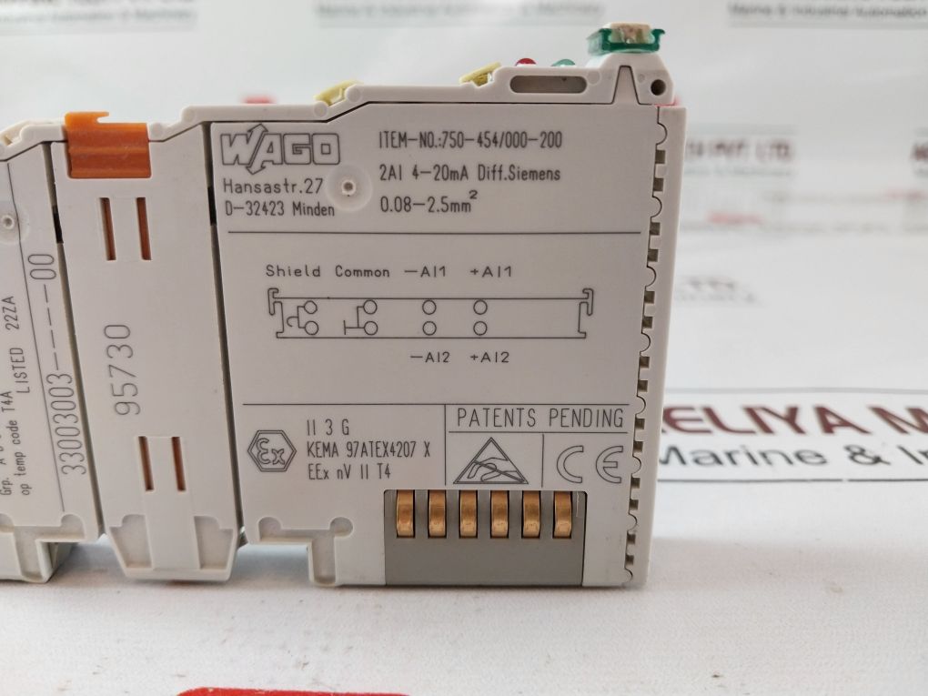 Wago 750-454/000-200 2-channel Analog Input Module – Aeliya Marine Tech